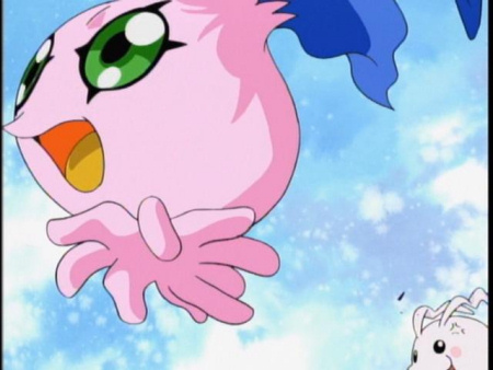 CHIRP! A shrine to Piyomon a.k.a Biyomon from Digimon Adventure