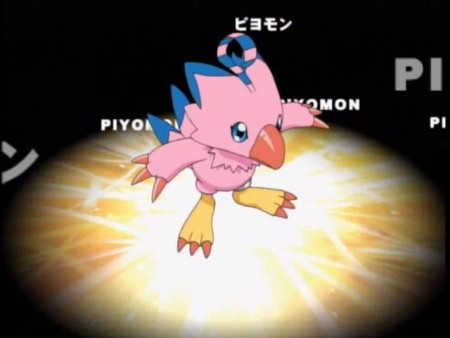 CHIRP! A shrine to Piyomon a.k.a Biyomon from Digimon Adventure